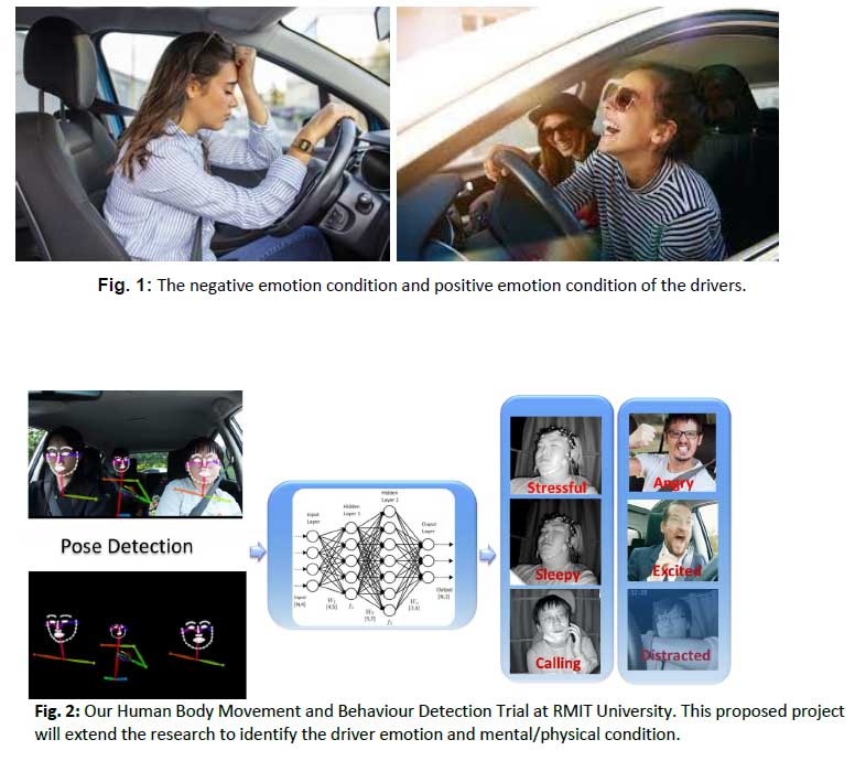 System development to control vehicle driver / occupant emotion
